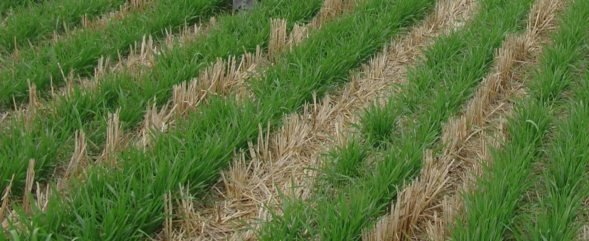 Zero Till | Aik Saath